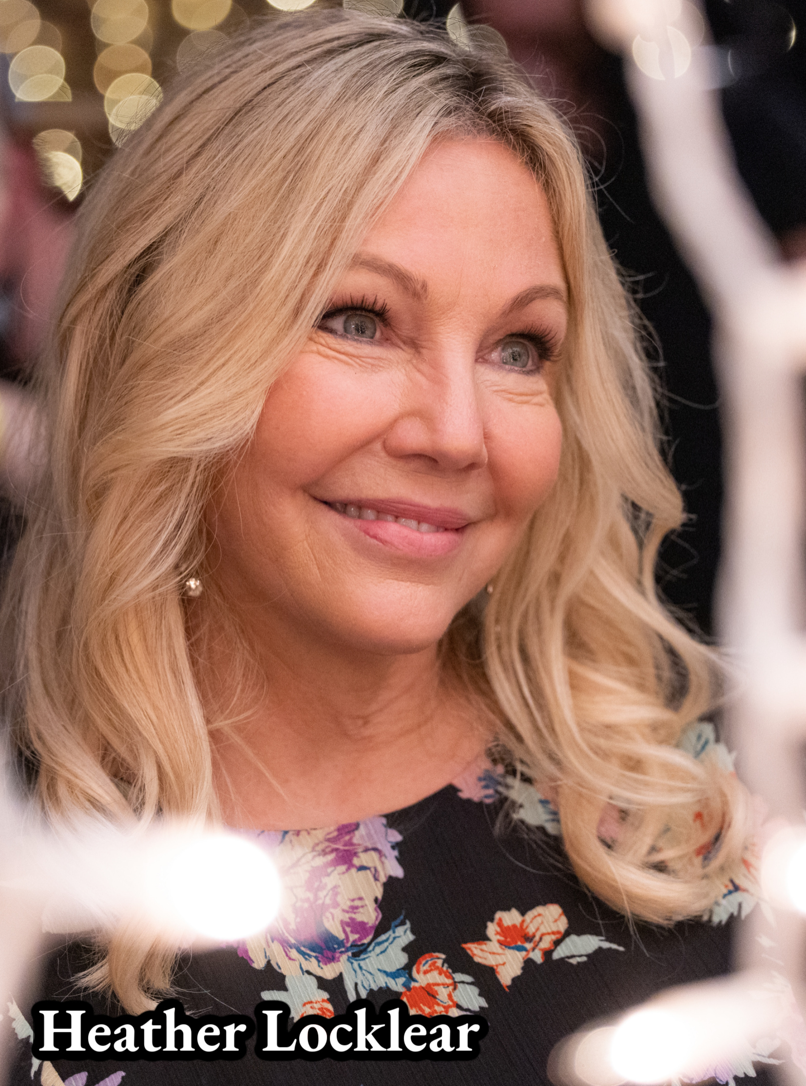 Shannon Bradley-Colleary Storyteller/Ranconteur: Films. Books. Blog.